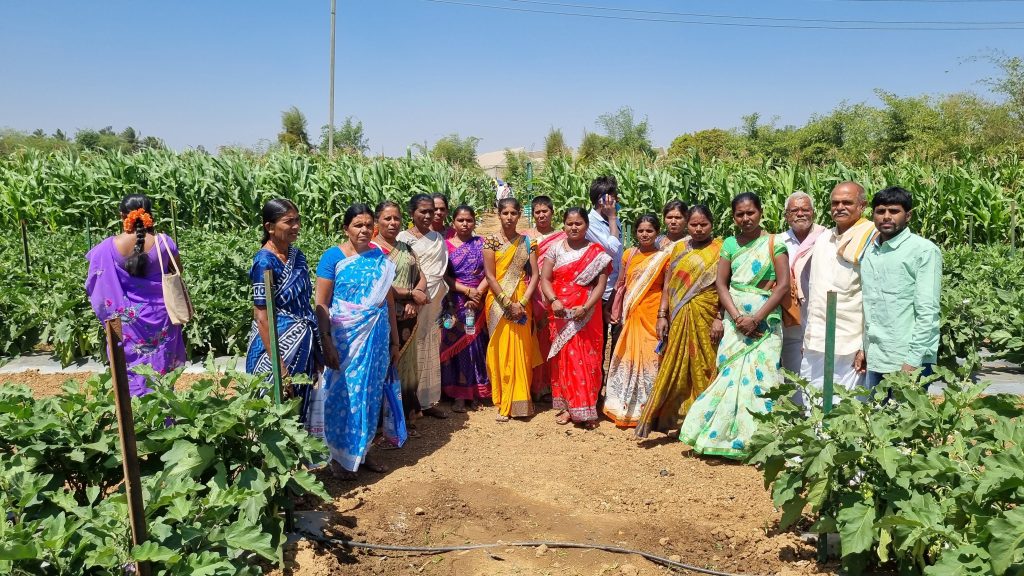 Aldeas Climáticamente Inteligentes como motor de una agricultura ...